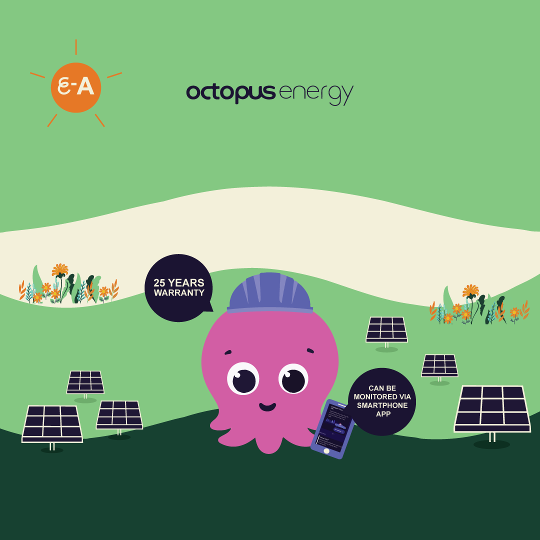 Guide to Solar Panels & Octopus Tariffs | Eco Affect